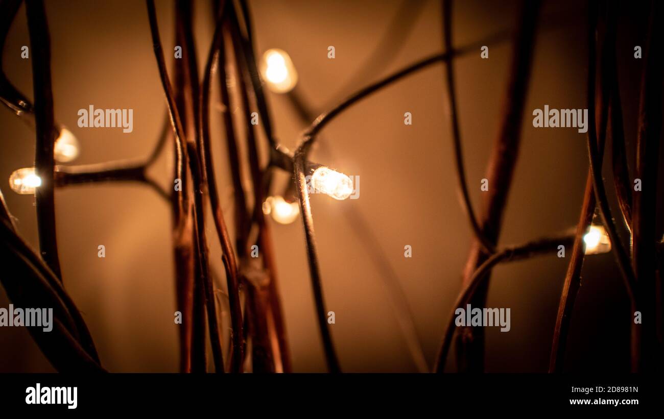 Fairy lights on twigs Stock Photo - Alamy