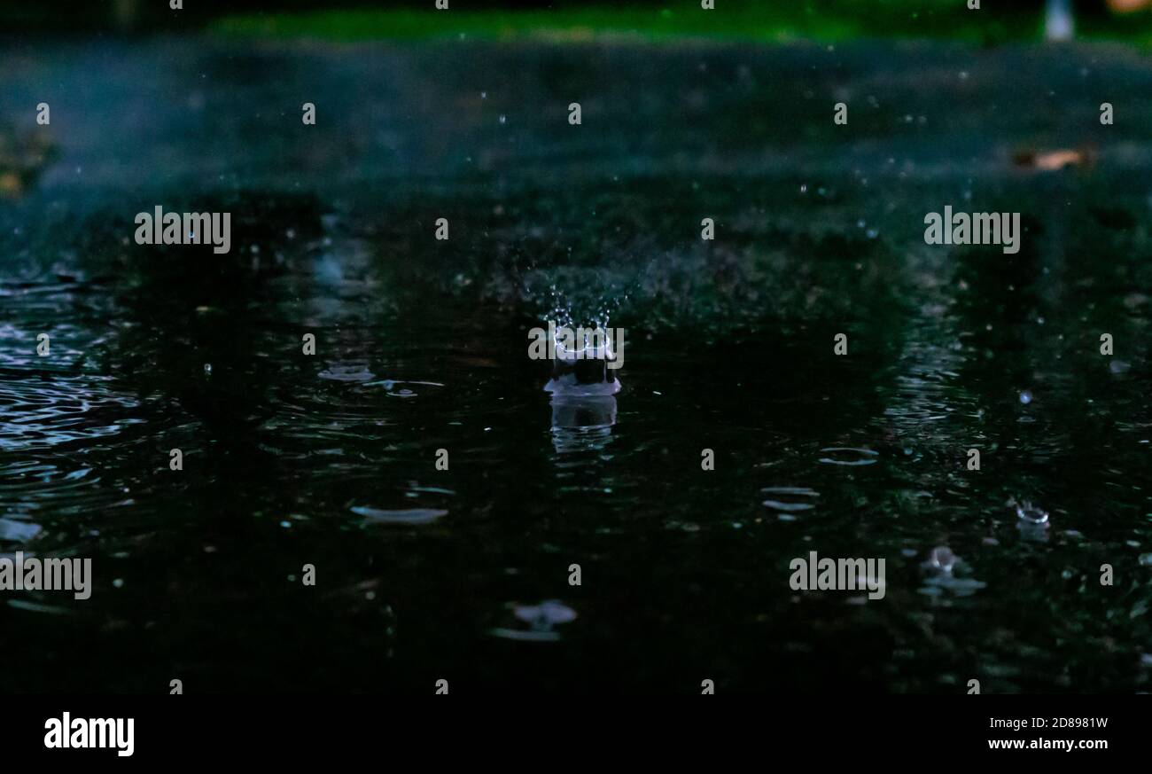 Rain drop splash Stock Photo - Alamy