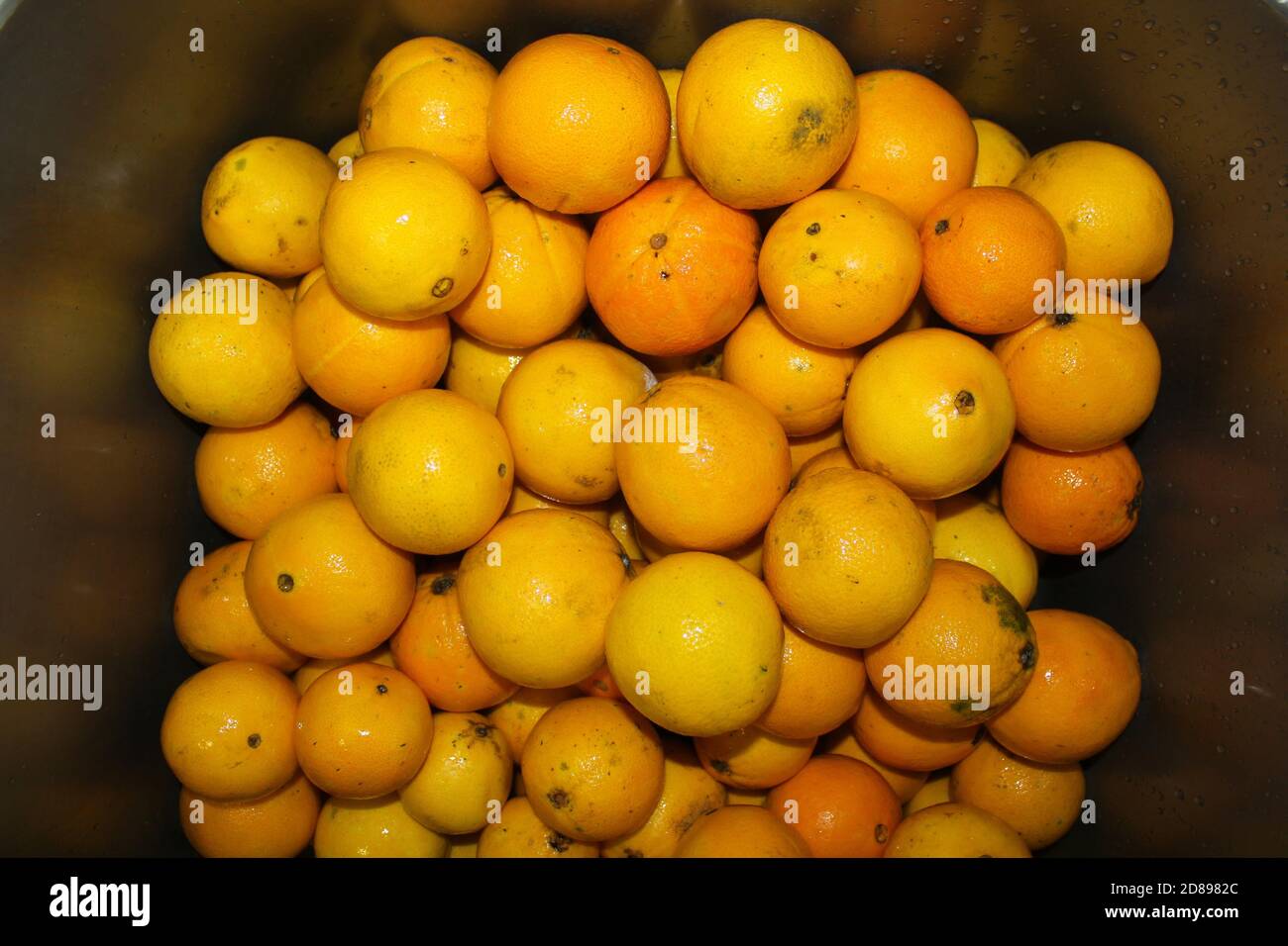 Cleaning oranges hi-res stock photography and images - Alamy