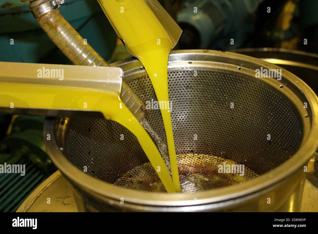 Extra virgin olive oil extraction process in olive oil mill located in ...