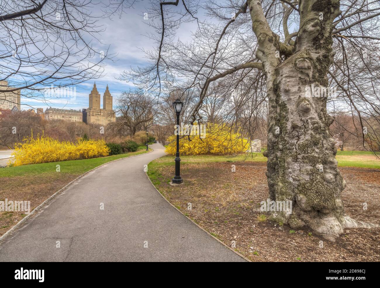 Spring in Central Park, New York City in early spring Stock Photo - Alamy