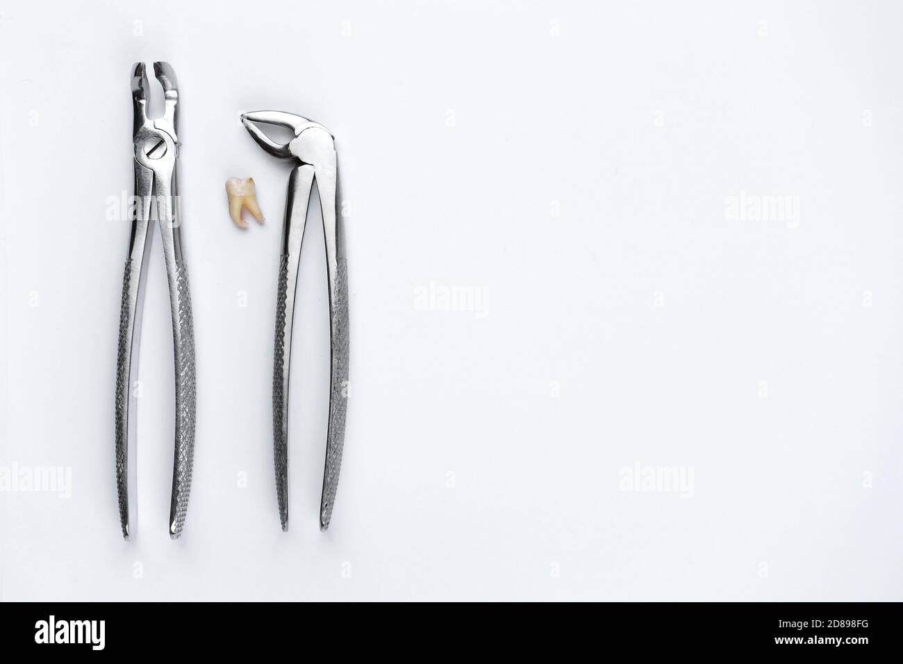 Photo of two dental forceps with tooth on isolated white background ...
