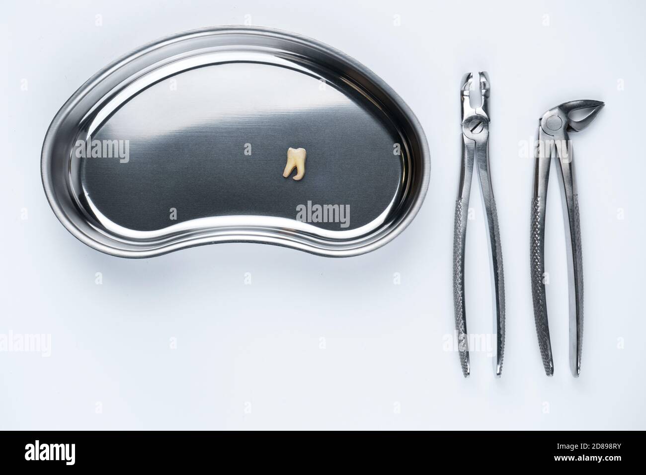 Photo of kidney-shaped bowl with removed tooth Stock Photo - Alamy