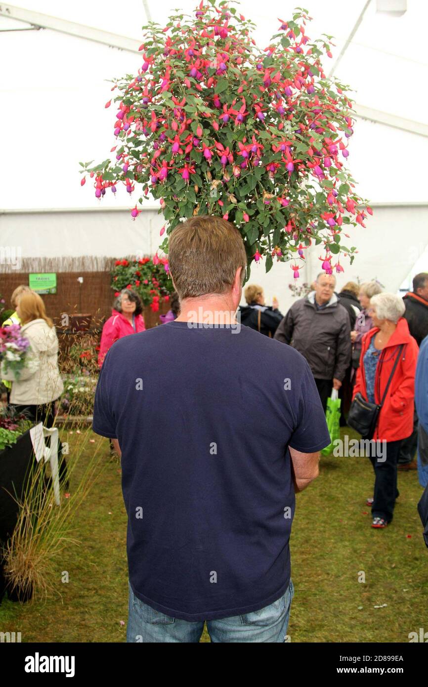 Rozelle Park, Ayr, South Ayrshire, Scotland, UK. 06 Aug 2011. Ayr ...