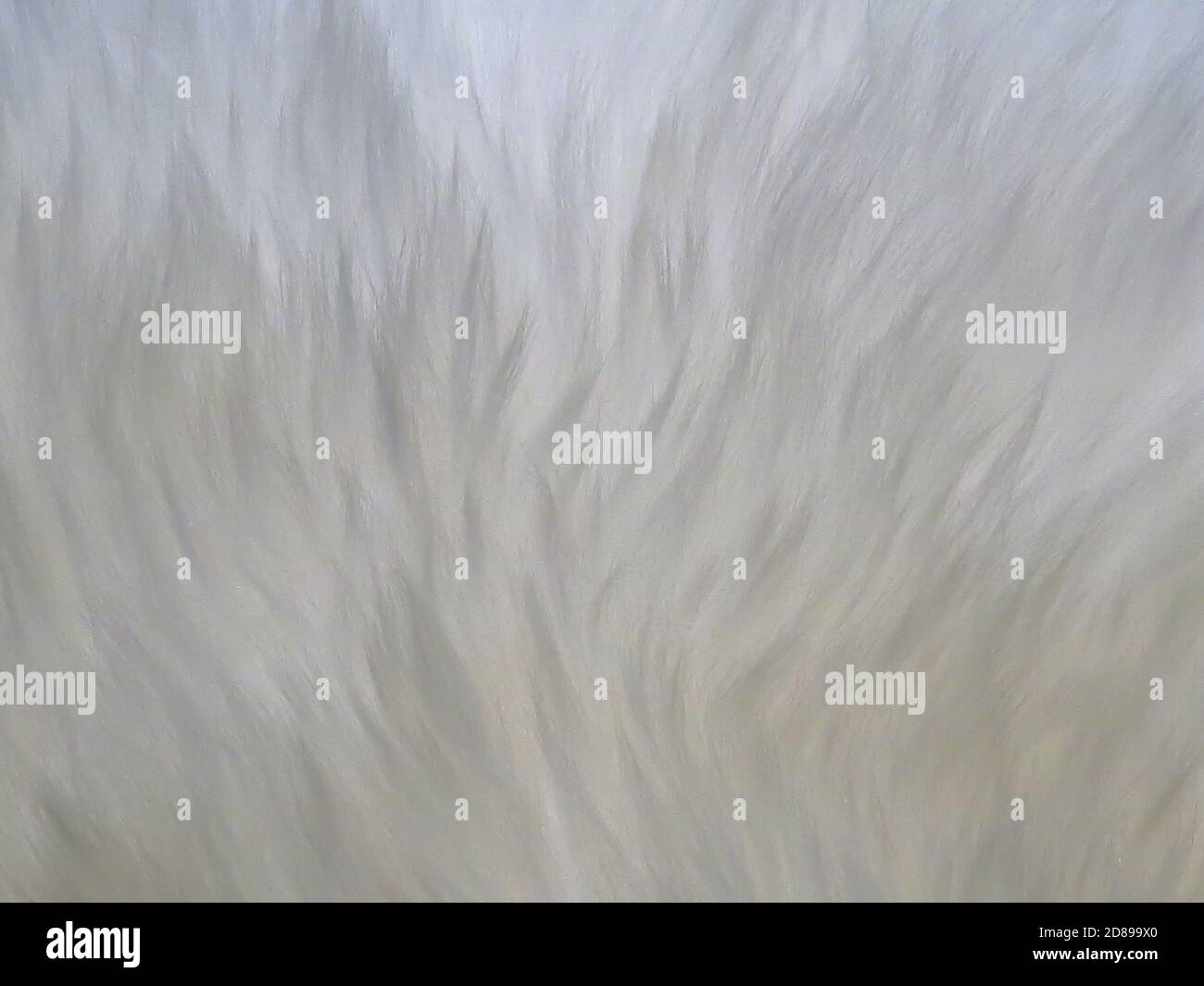 Shaggy fur texture hi-res stock photography and images - Alamy