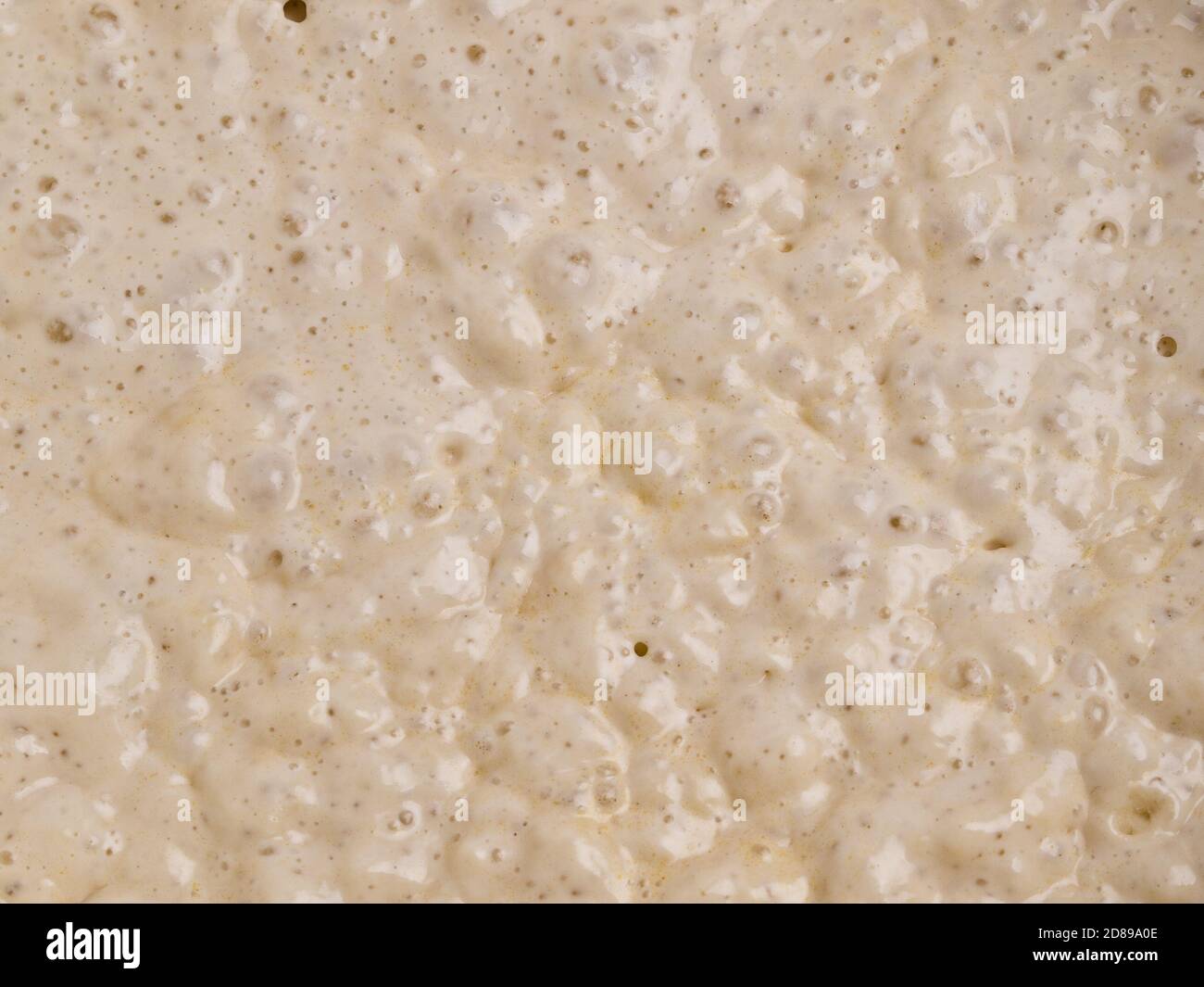 Fermenting uncooked yeast dough porous bubbly surface texture Stock ...