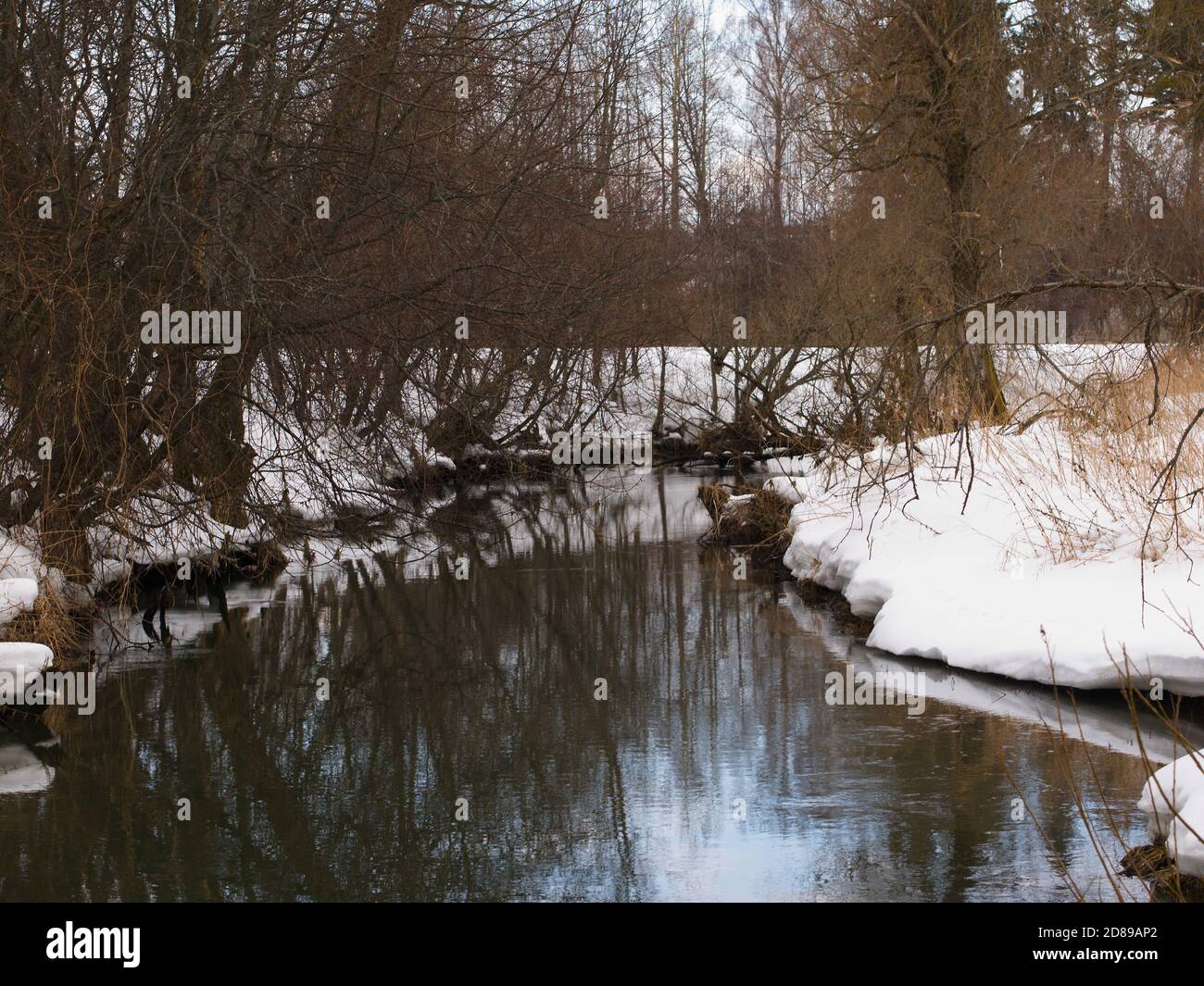 Spring river with rising water and banks with snow Stock Photo - Alamy