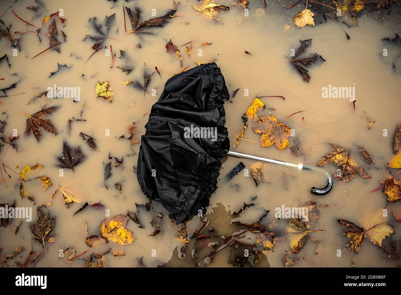 Broken umbrella hi-res stock photography and images - Alamy