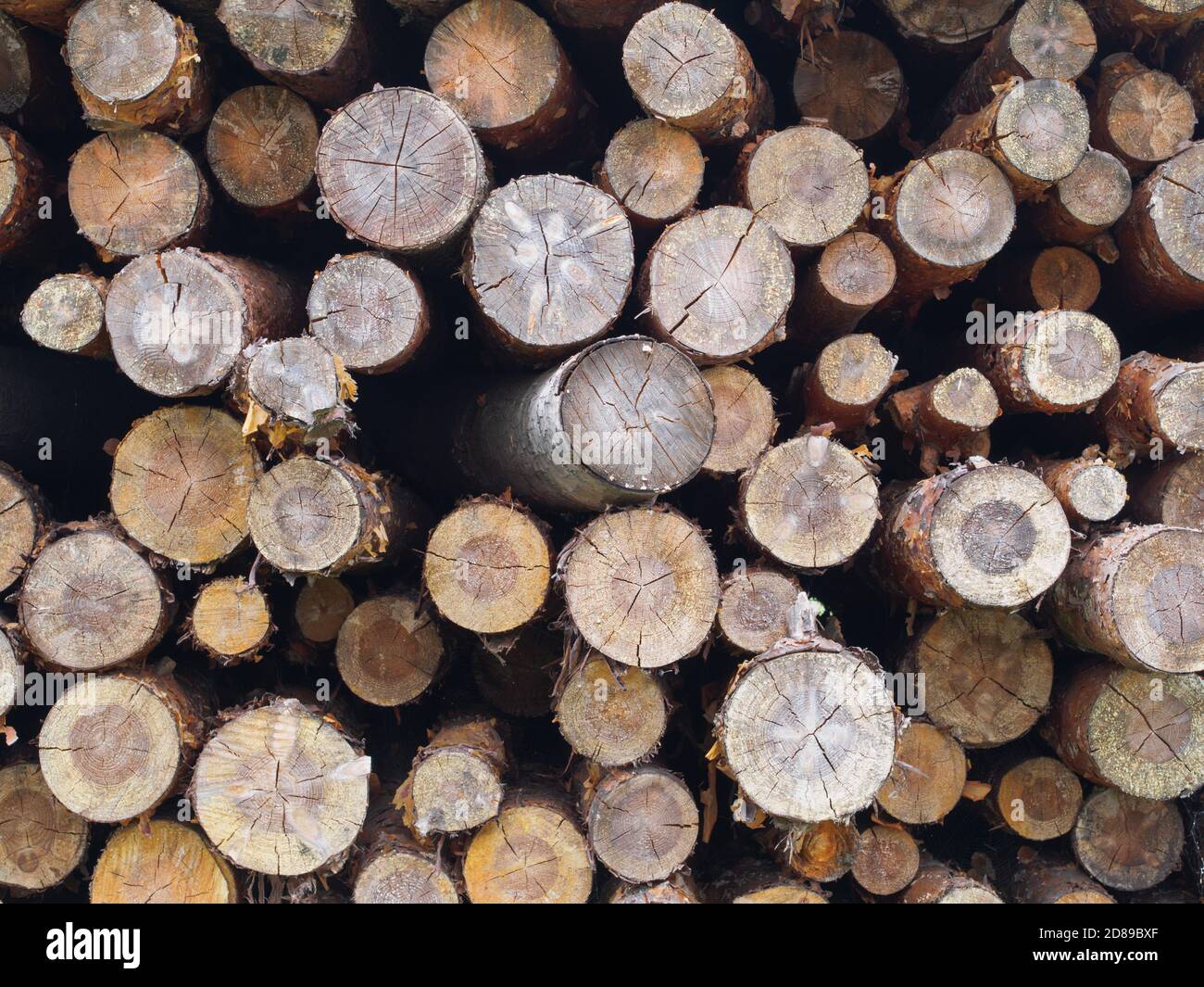 Raw unmanufactured hi-res stock photography and images - Alamy