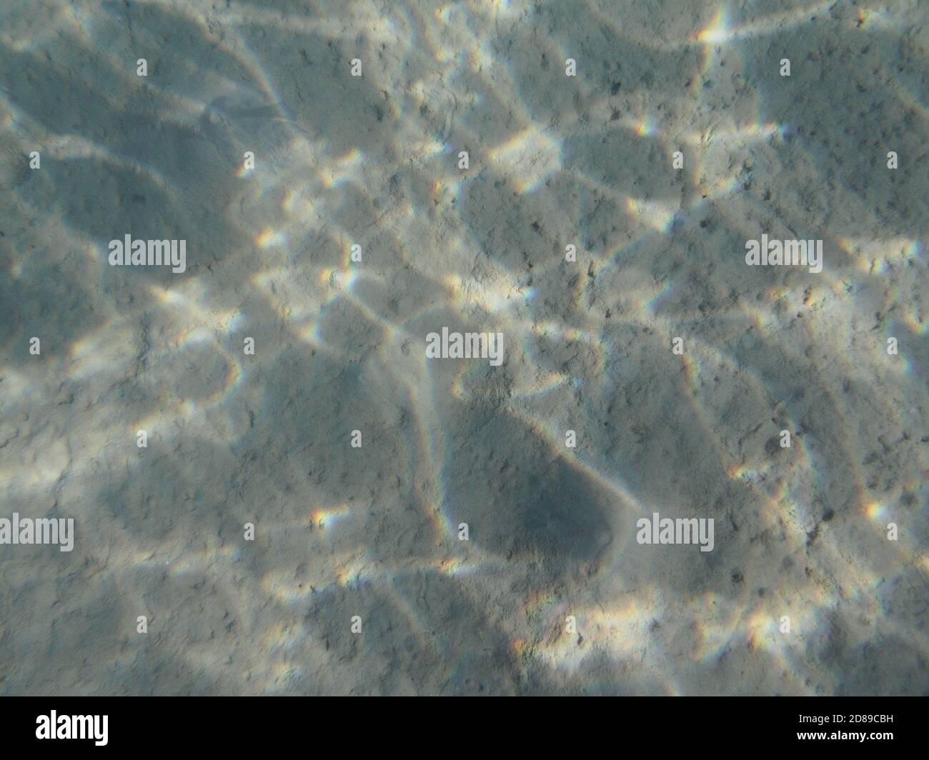 Underwater shallow sandy ocean floor hi-res stock photography and ...