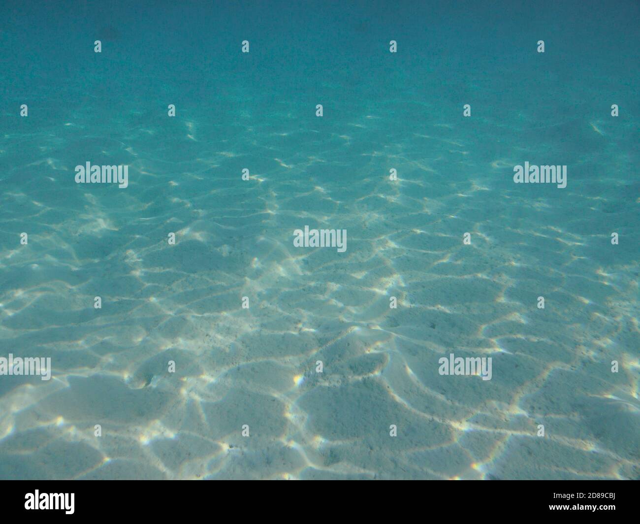 Underwater shallow sandy ocean floor hi-res stock photography and ...