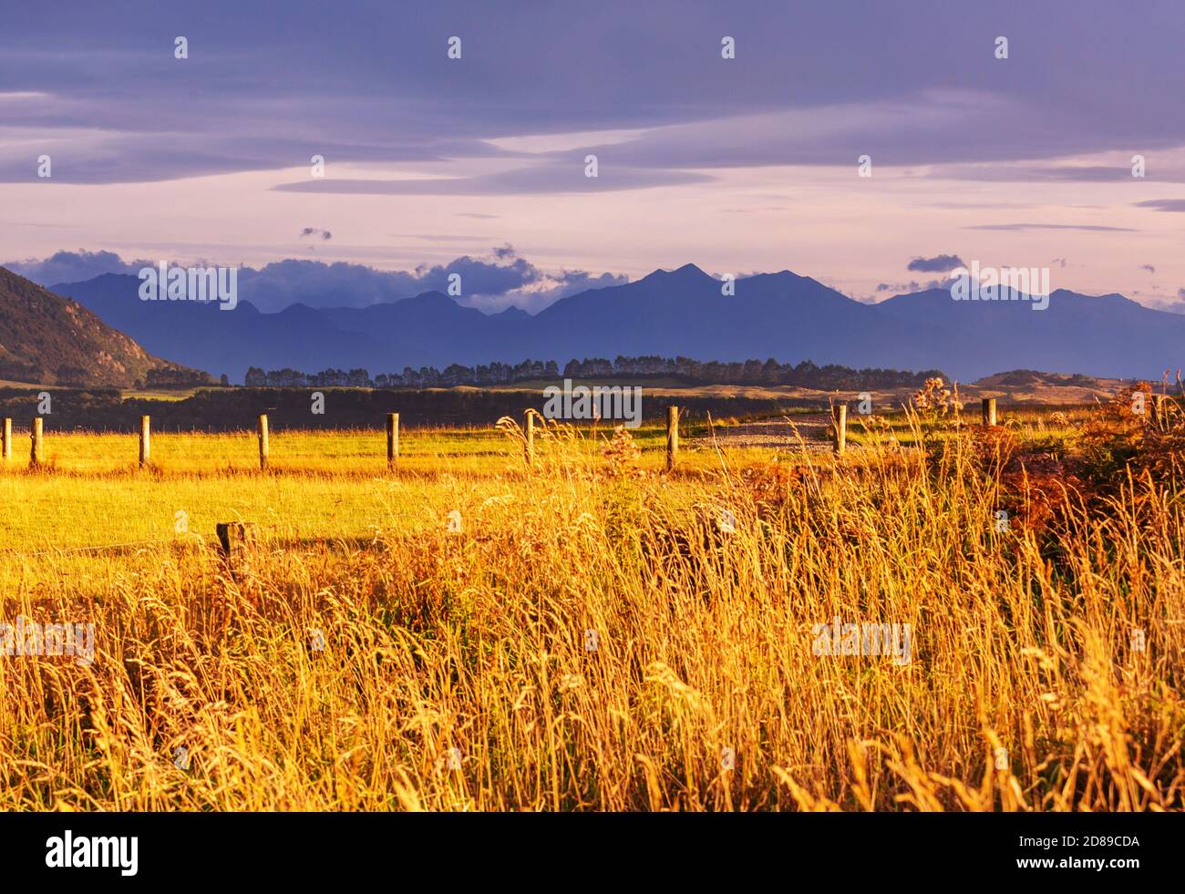 Beautiful rural landscape of the New Zealand at sunrise Stock Photo - Alamy