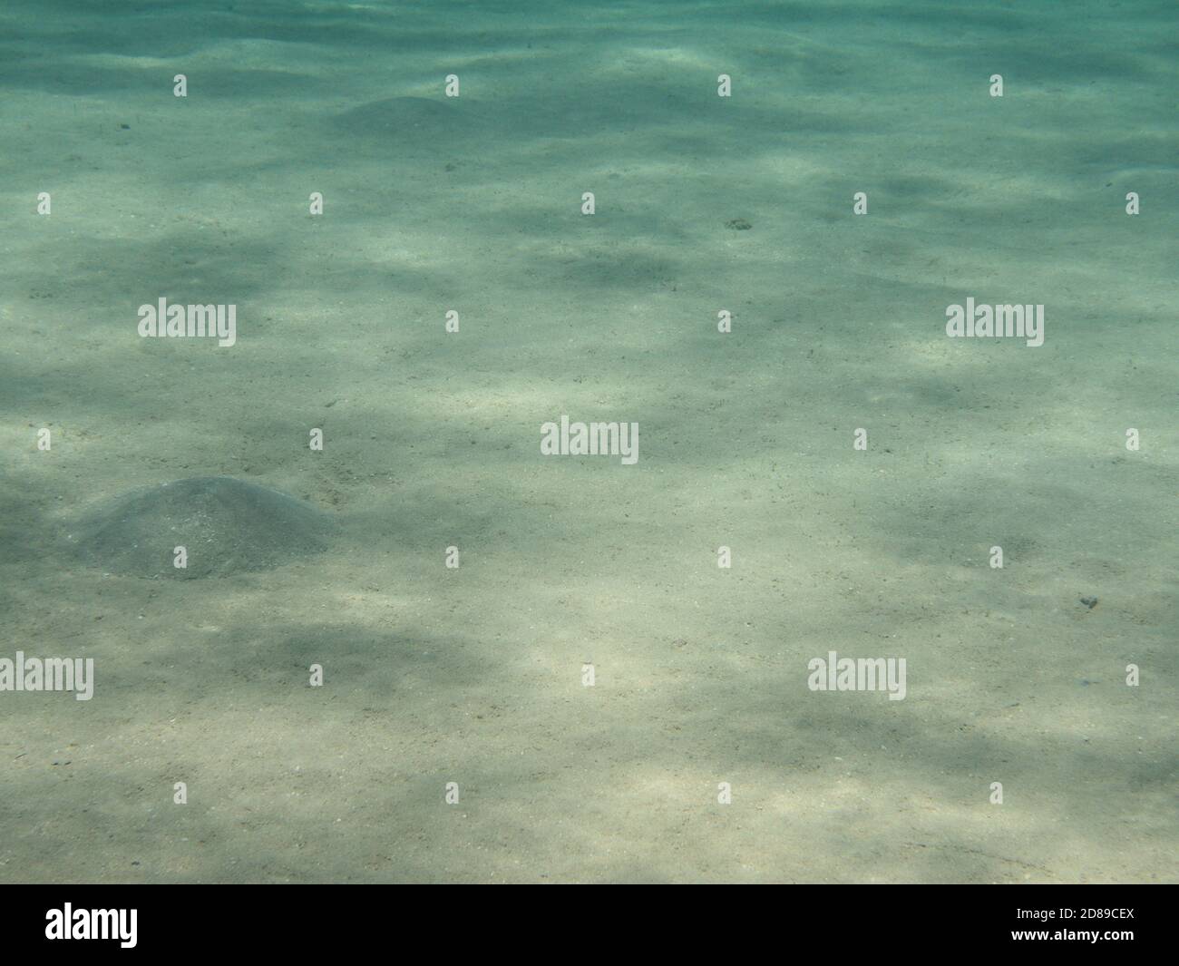 Sandy ground under sea, underwater ocean floor background Stock Photo ...