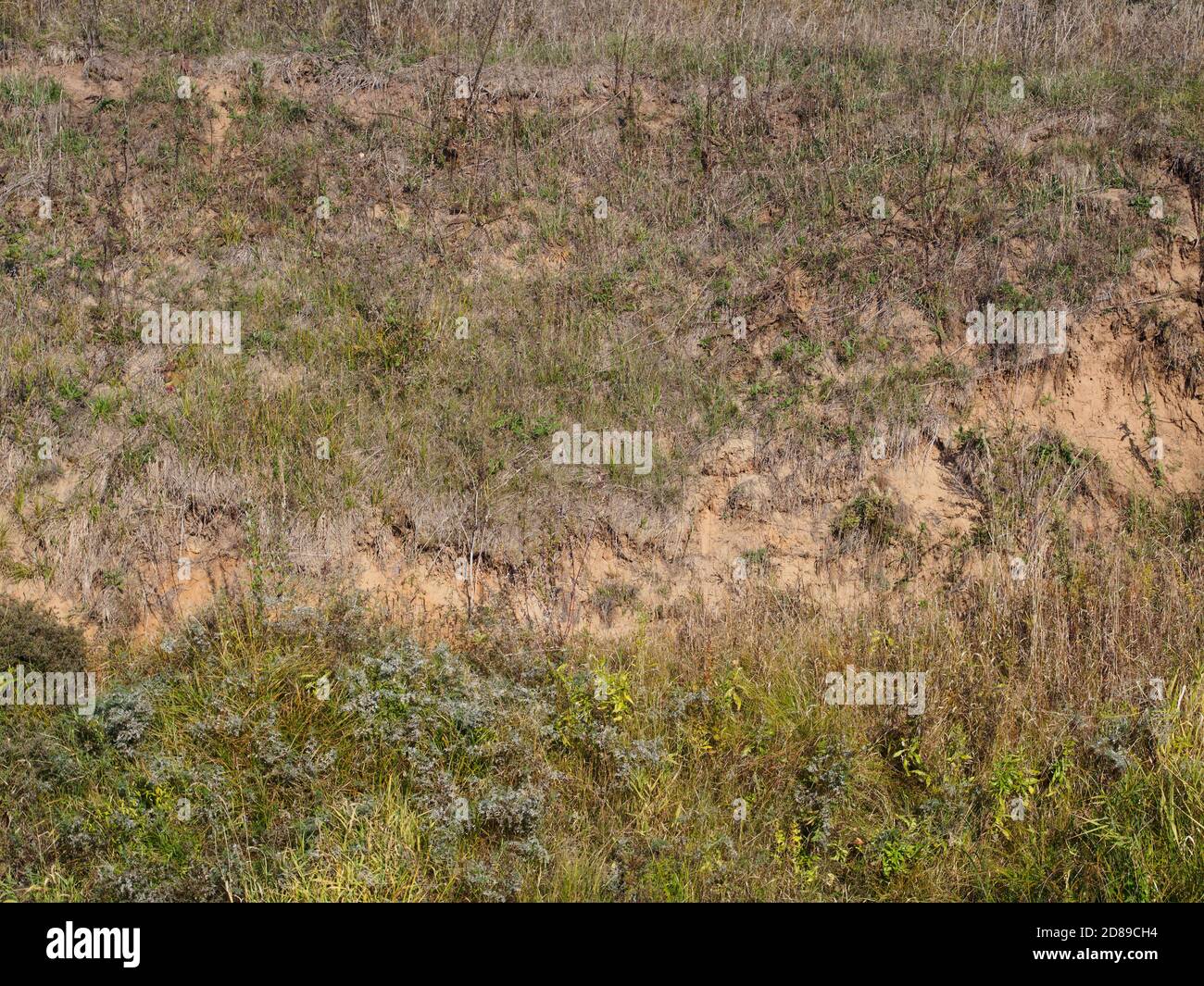 Riverside sandy grass cliff background Stock Photo - Alamy