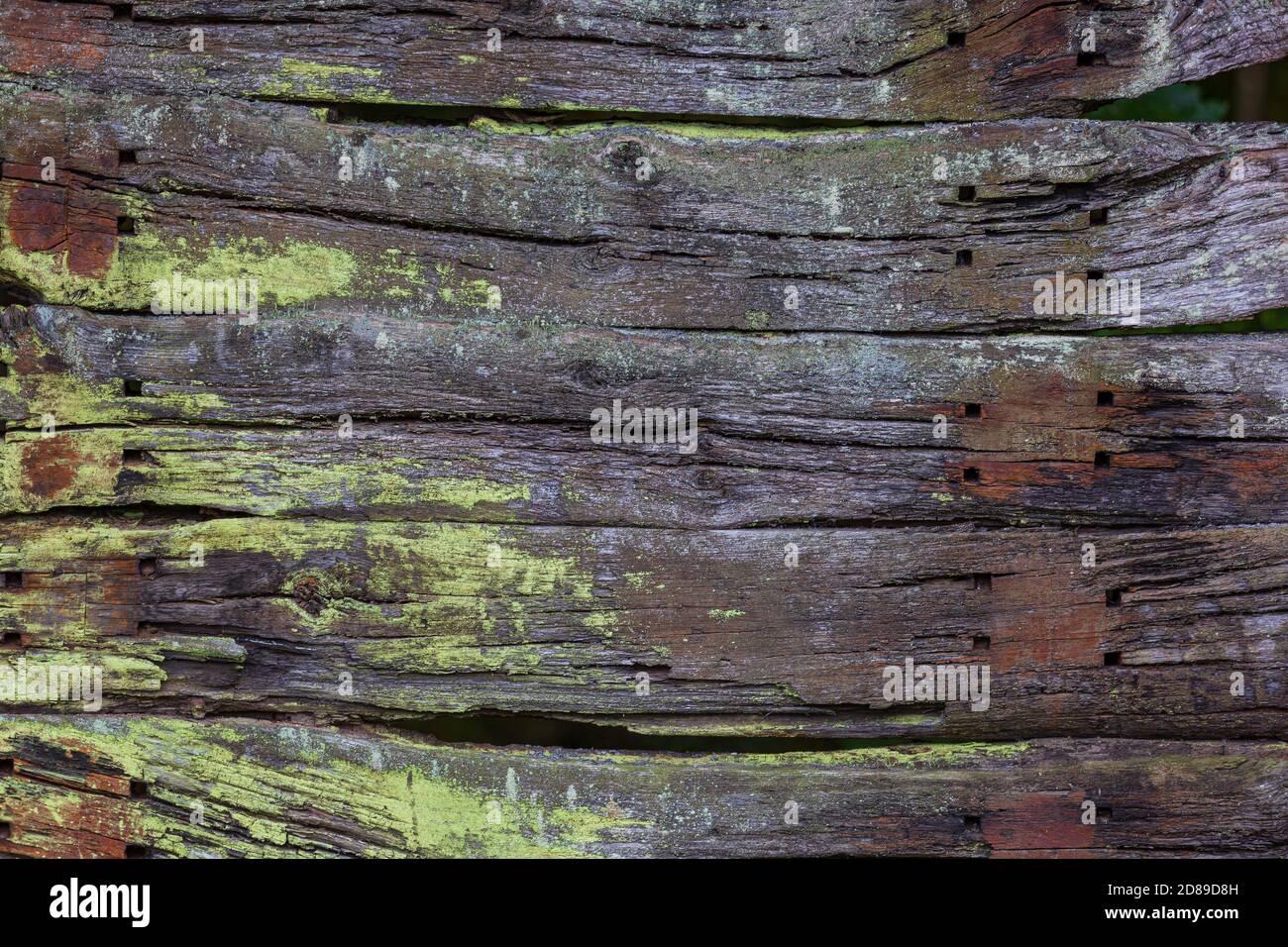 Old weather-beaten and rotten wooden planks with lichens Stock Photo ...