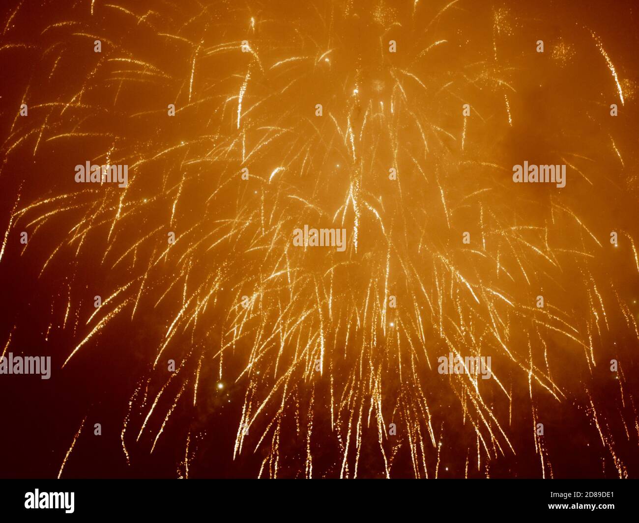 Firework explosion at night with golden sparkles light, holiday ...