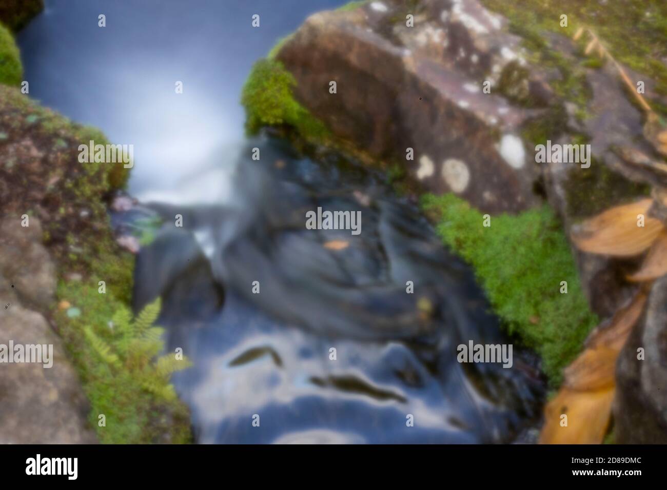 Intimate natural landscapes through a Pinhole lens, moving water and ...