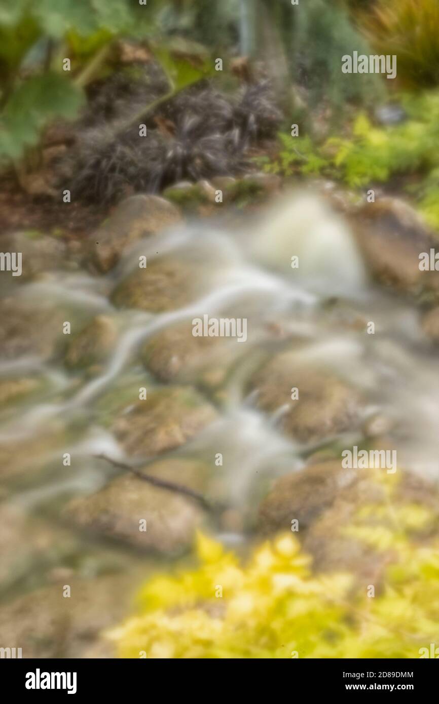 Intimate natural landscapes through a Pinhole lens, moving water and ...