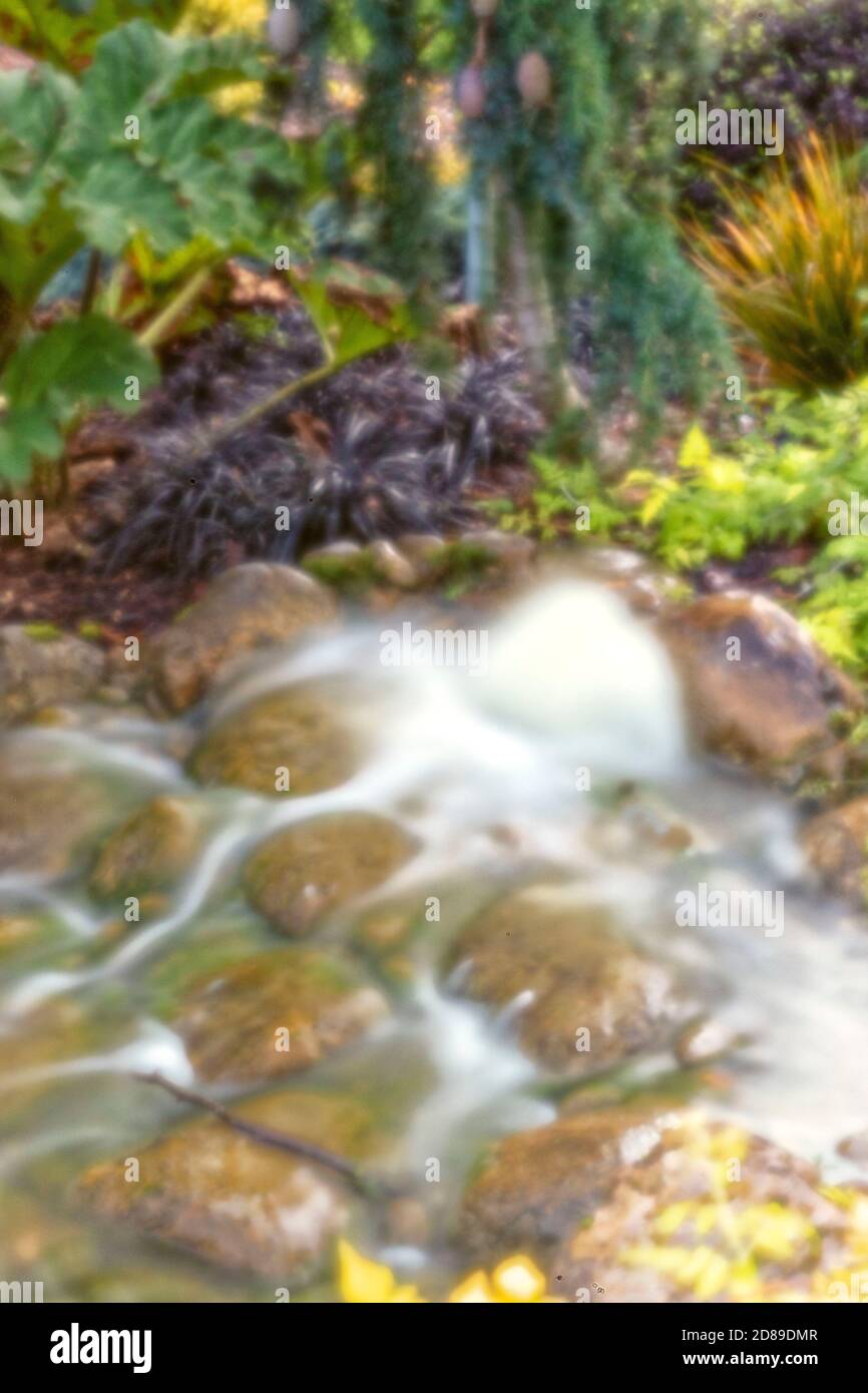 Intimate natural landscapes through a Pinhole lens, moving water and ...