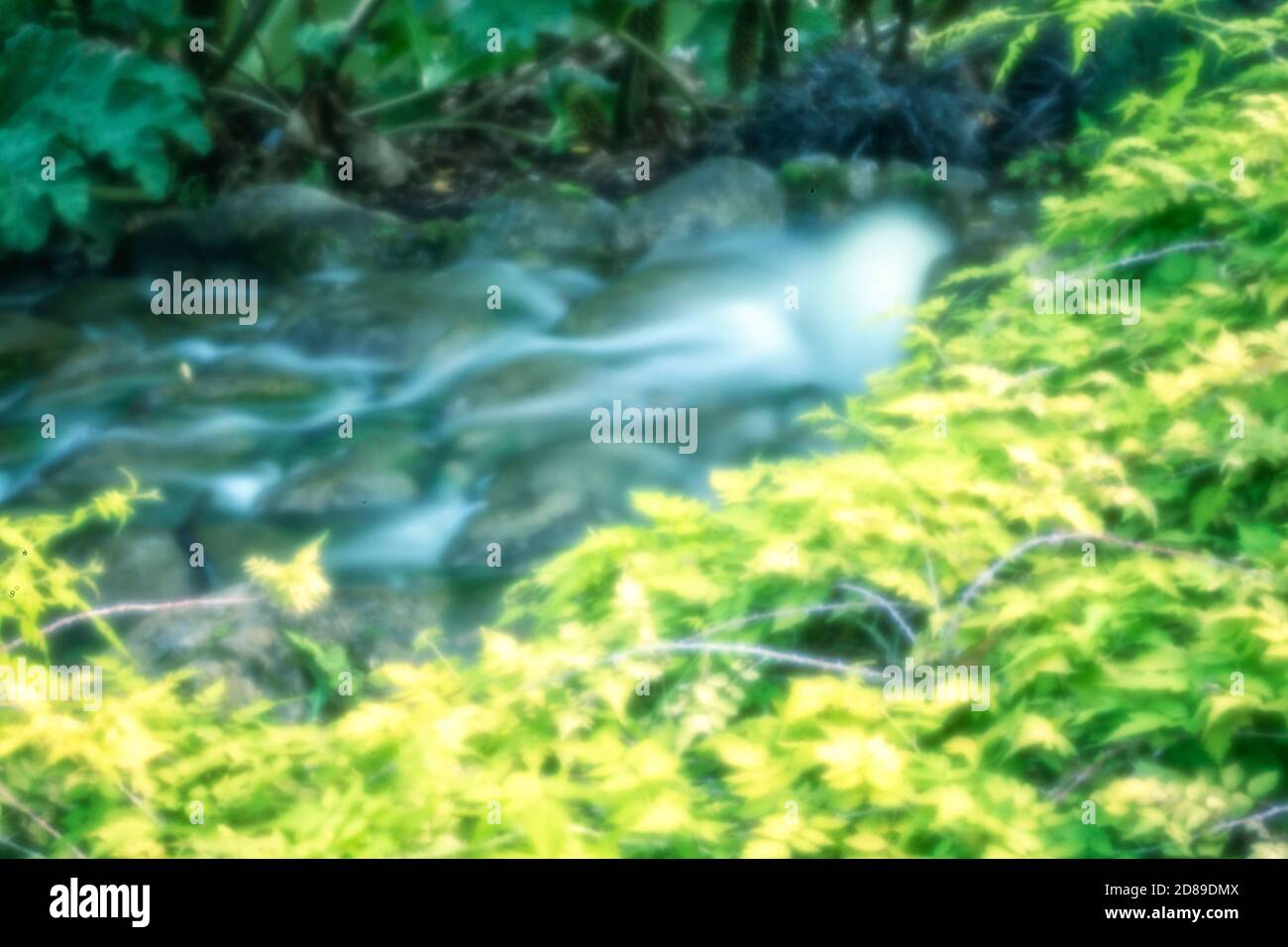 Intimate natural landscapes through a Pinhole lens, moving water and ...