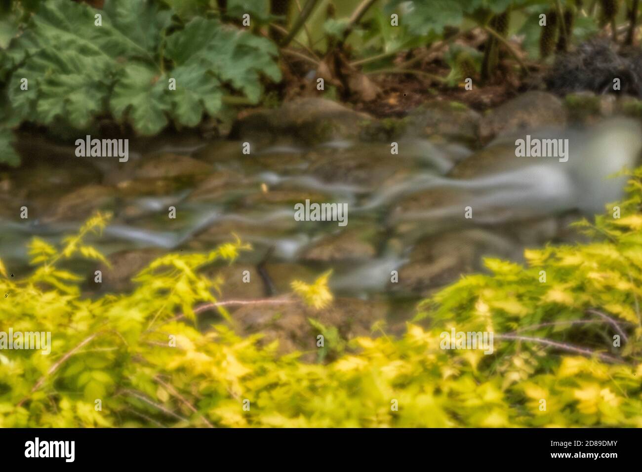 Intimate natural landscapes through a Pinhole lens, moving water and ...