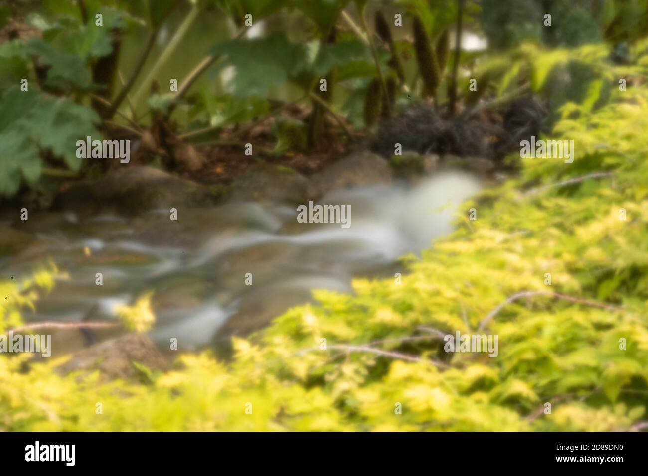 Intimate natural landscapes through a Pinhole lens, moving water and ...
