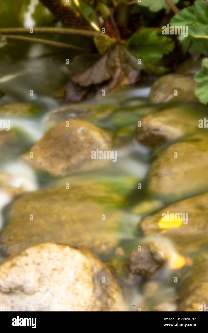 Intimate natural landscapes through a Pinhole lens, moving water and ...