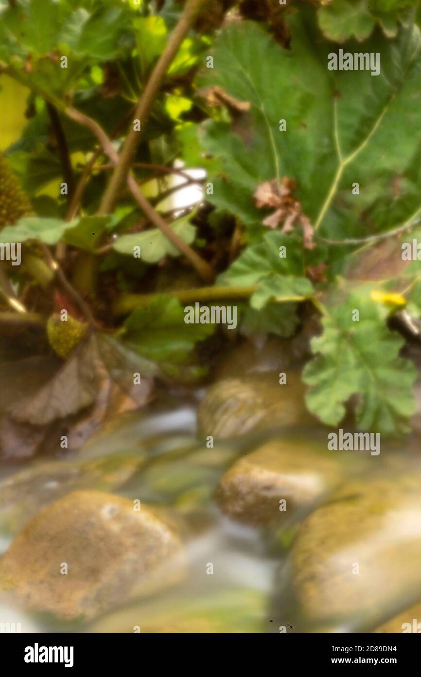 Intimate natural landscapes through a Pinhole lens, moving water and ...