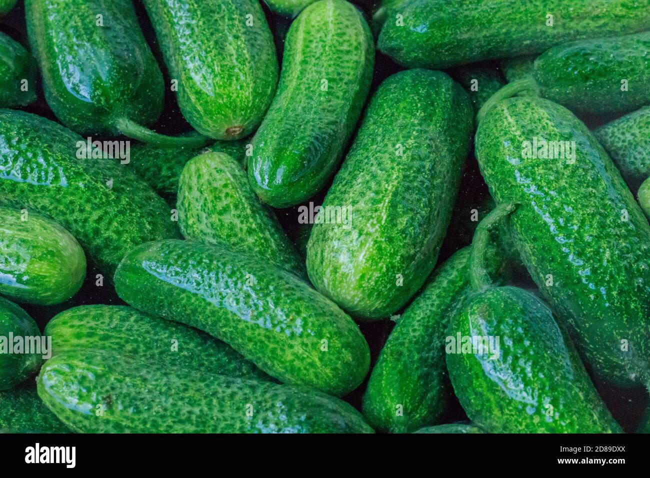 Preservation box hi-res stock photography and images - Alamy