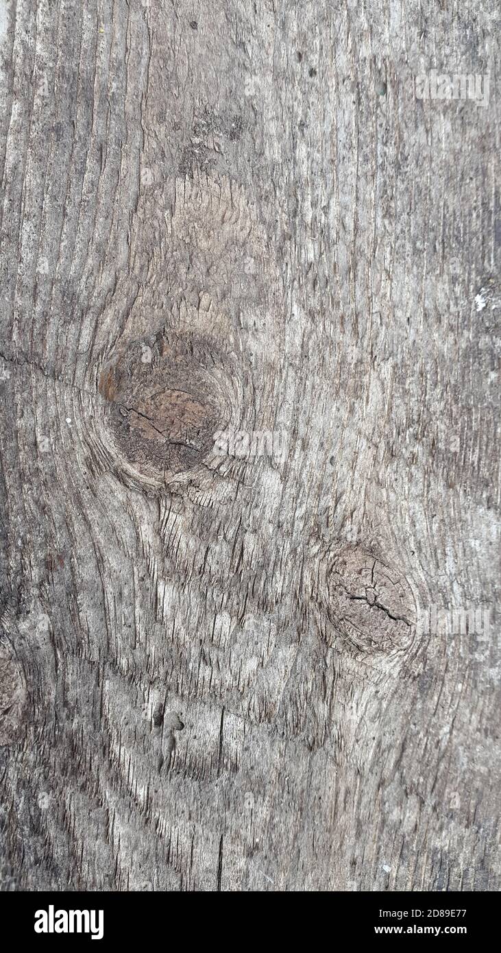 Wood. Old rotten wood. Vintage cracked wood. Weathered surface. Vintage ...