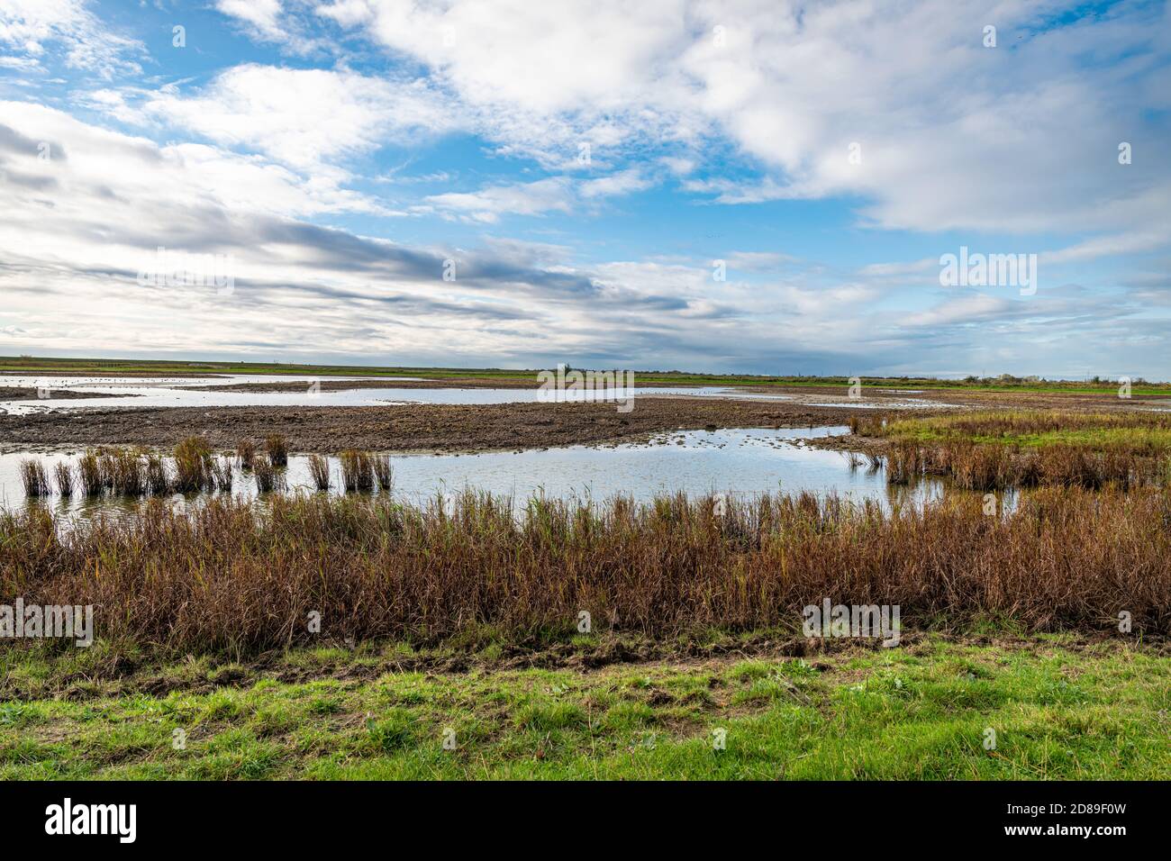 Frampton marsh nature reserve hi-res stock photography and images - Alamy