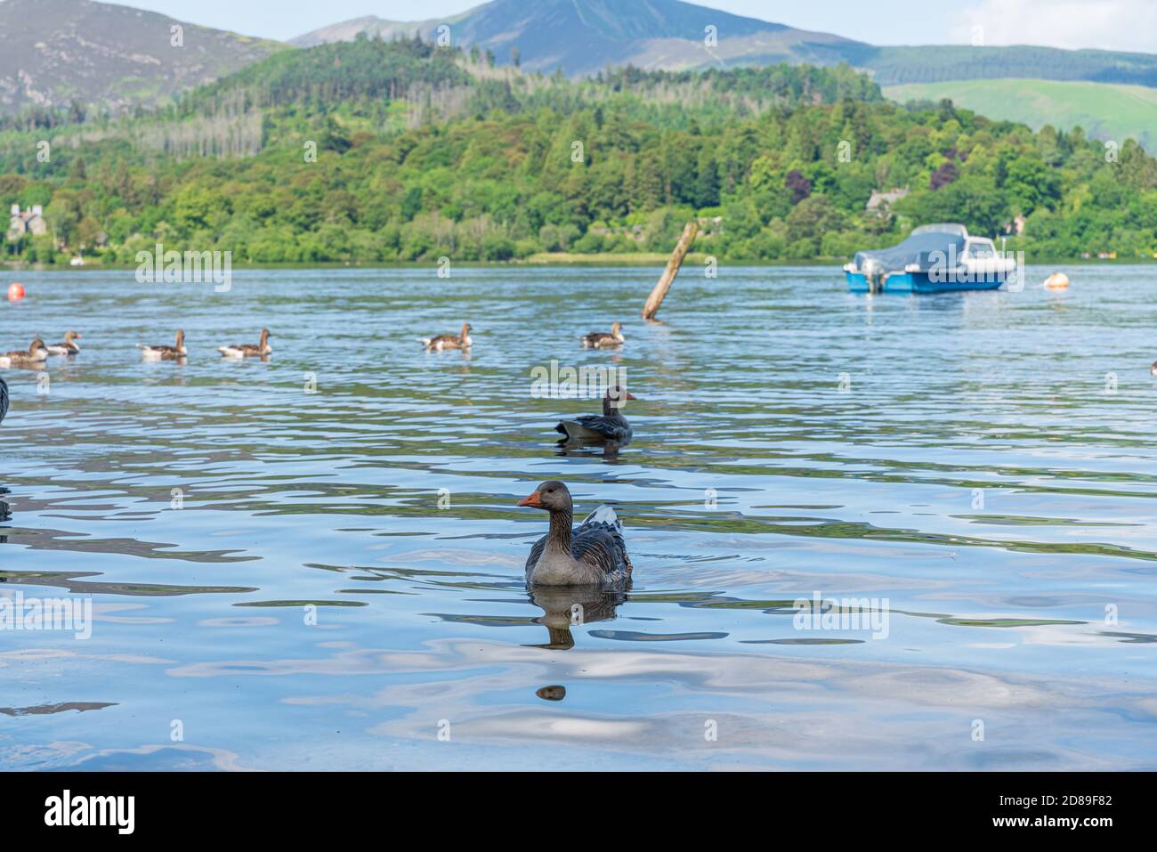Paddling around on Derwentwater Stock Photo - Alamy