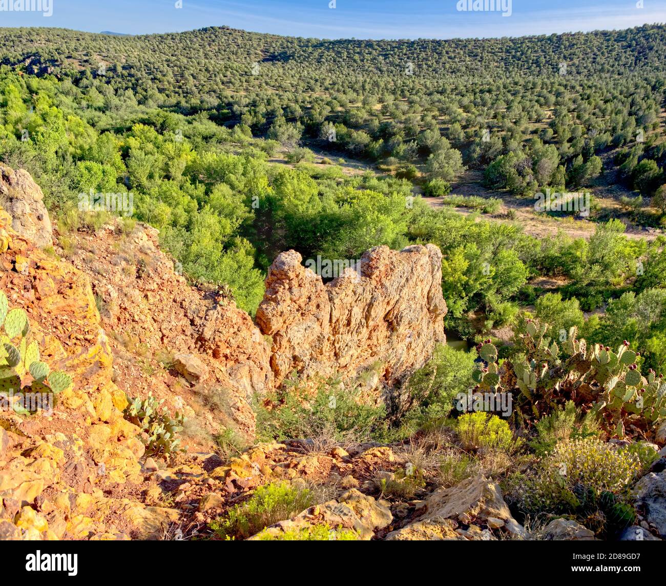 Devil's Point, Prescott National Forest, Arizona, USA Stock Photo - Alamy