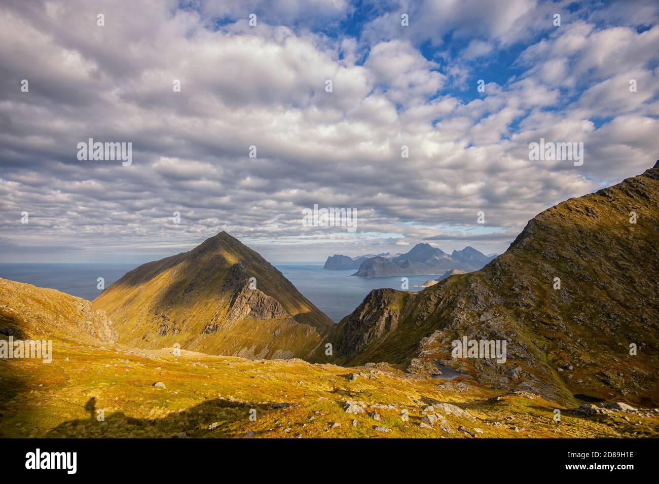 Coastal mountain landscape, Lofoten, Nordland, Norway Stock Photo - Alamy