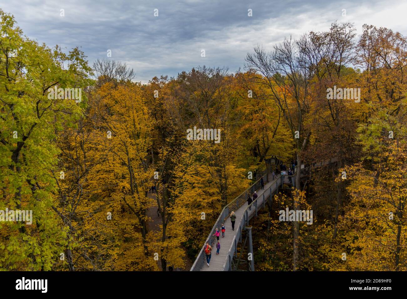 Autumn atmosphere in the Hainich National Park - Thuringia / Germany ...