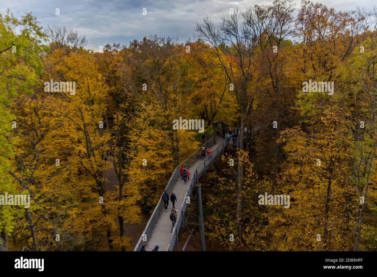 Autumn atmosphere in the Hainich National Park - Thuringia / Germany ...