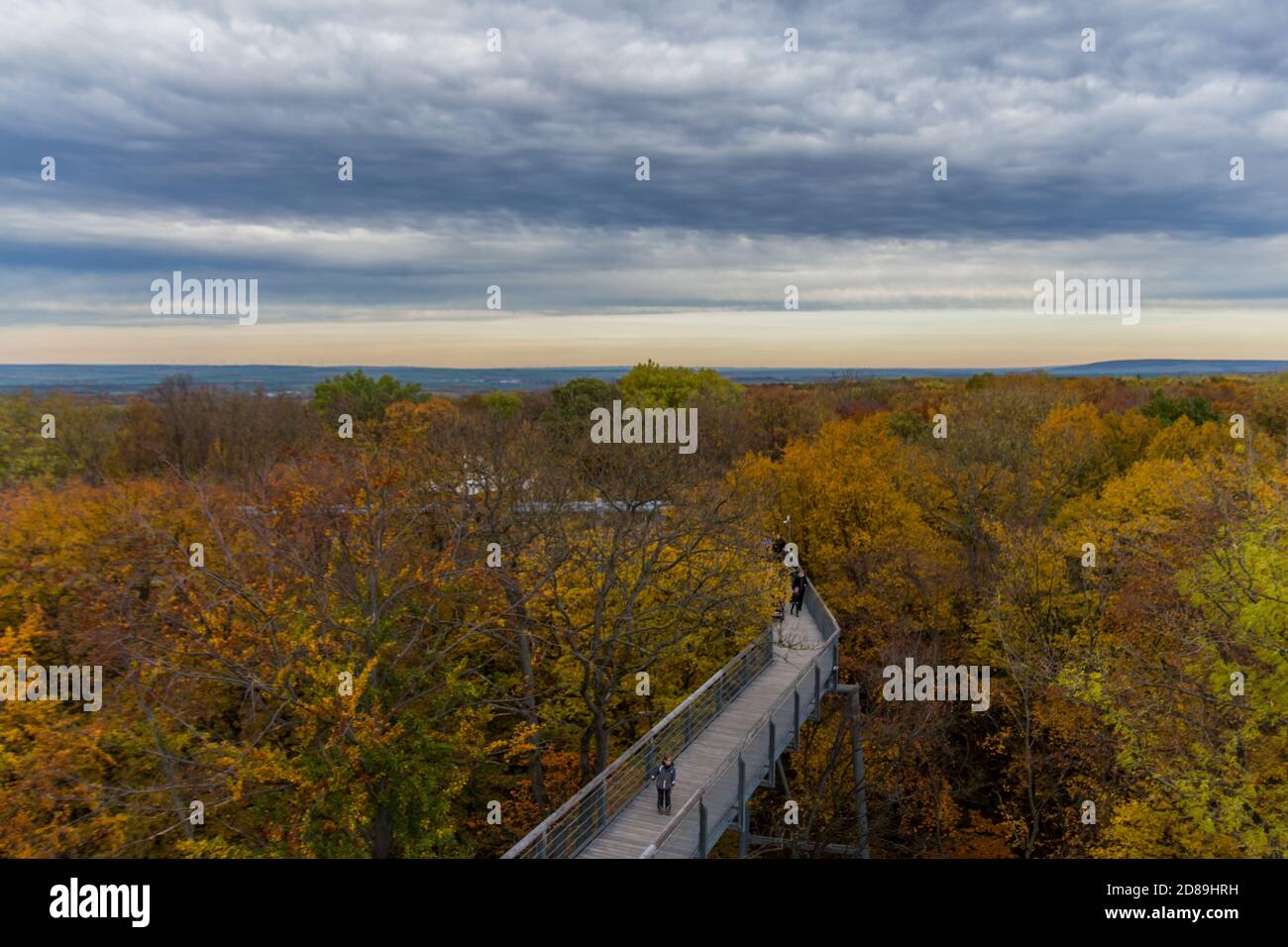 Autumn atmosphere in the Hainich National Park - Thuringia / Germany ...