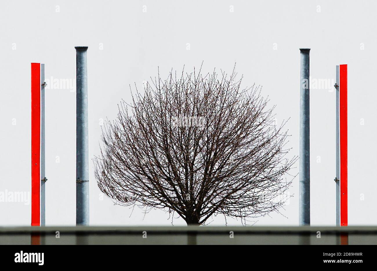 Tree between two sets of metal poles, Belgium Stock Photo - Alamy