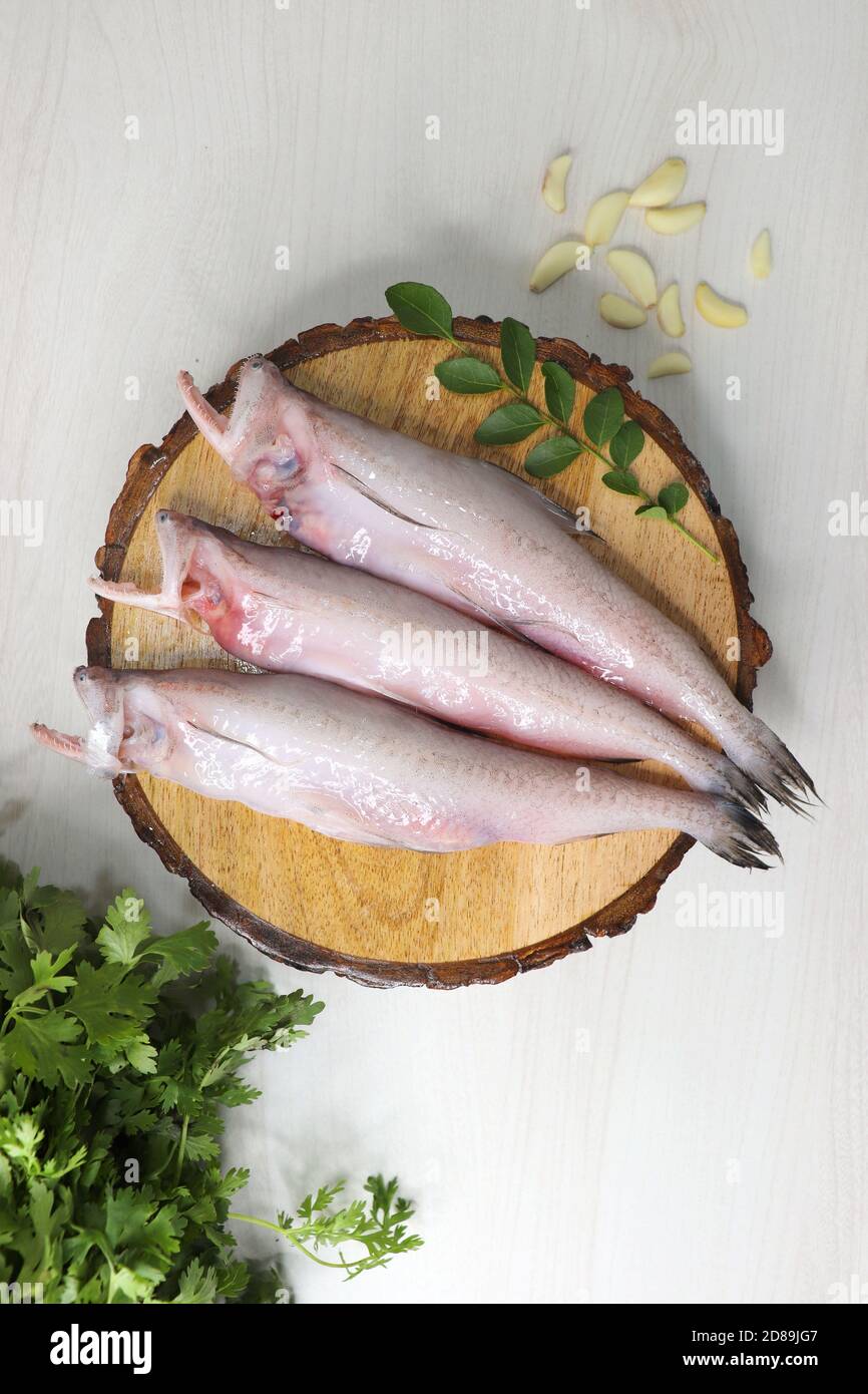 Fresh sea fish Bombay duck or Bombil and ingredients for cooking, green ...
