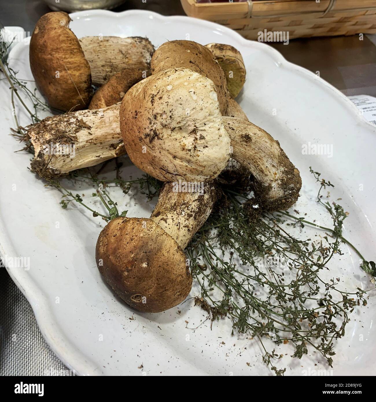 Top view fresh porcini hi-res stock photography and images - Alamy