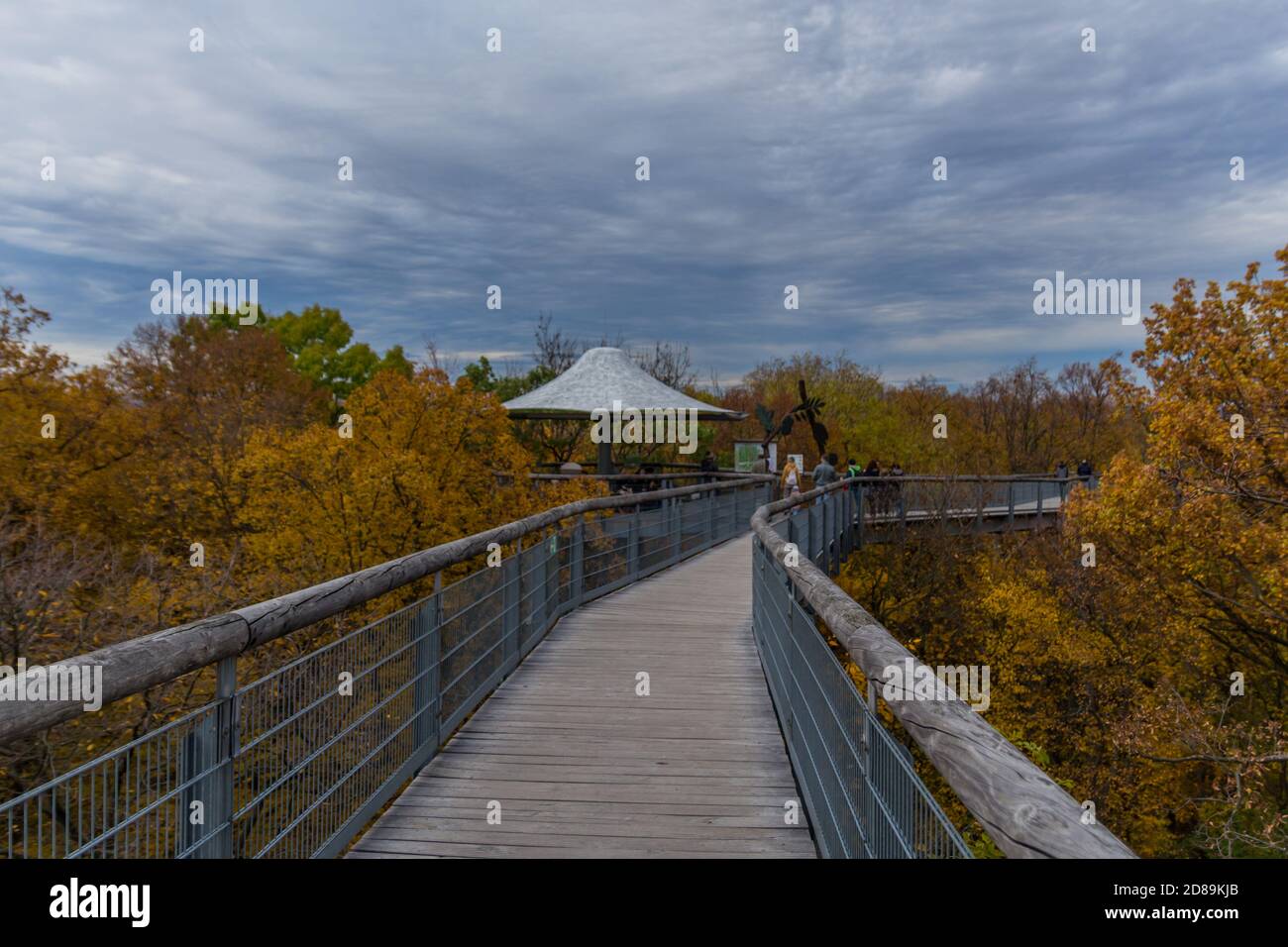 Autumn atmosphere in the Hainich National Park - Thuringia / Germany ...