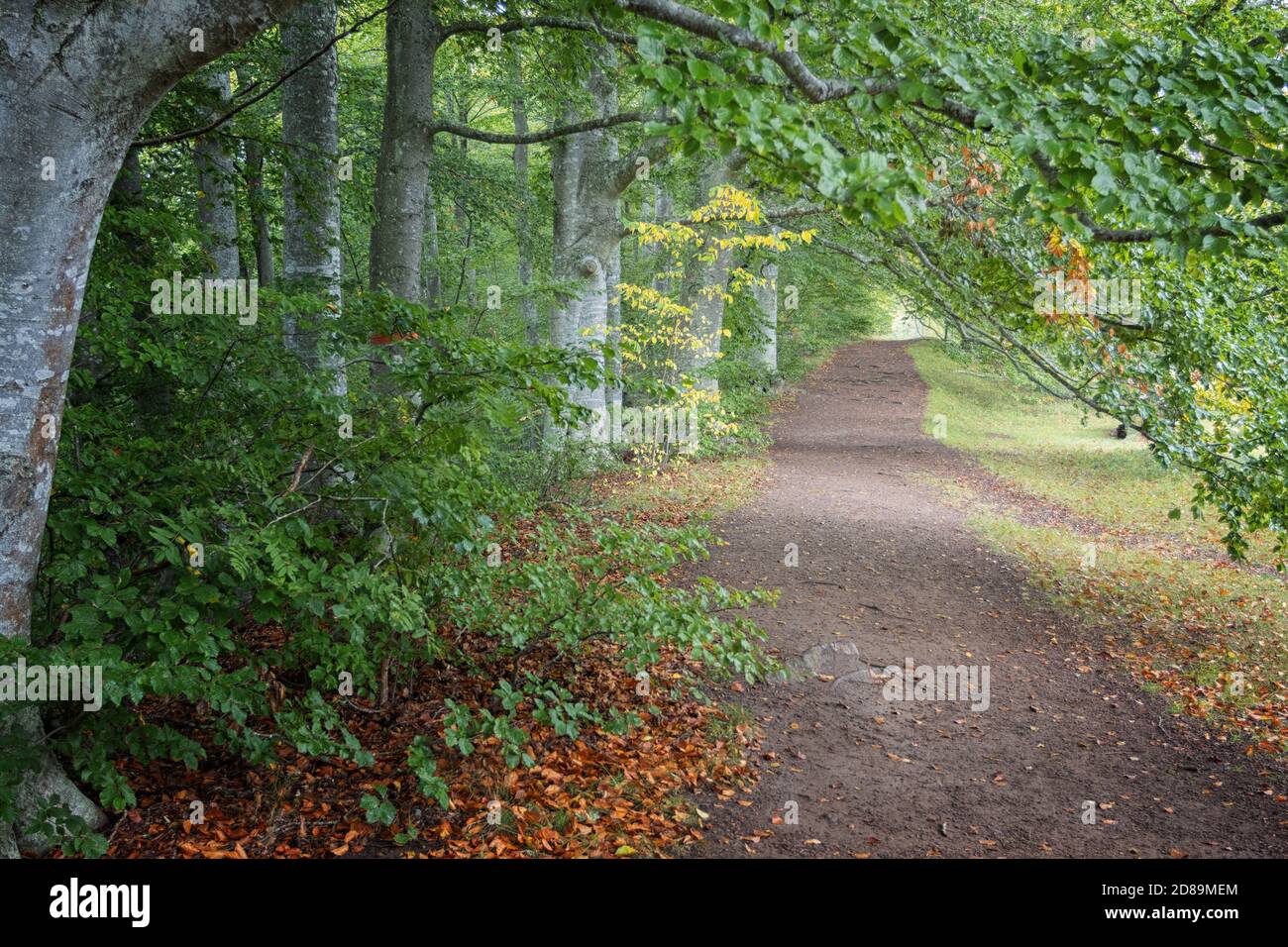 Public pathway in Omberg Sweden Stock Photo - Alamy