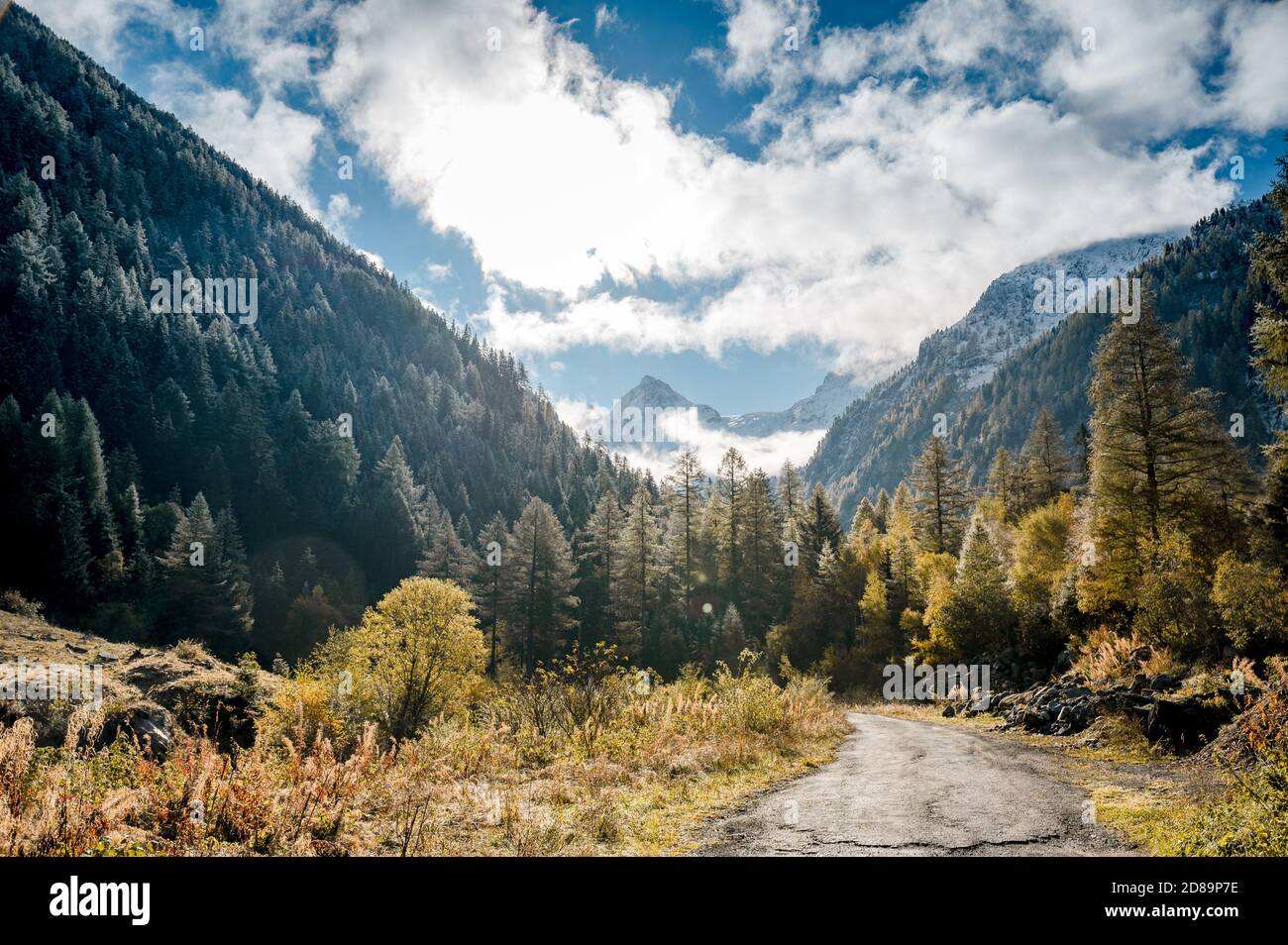 Trient a hi-res stock photography and images - Alamy