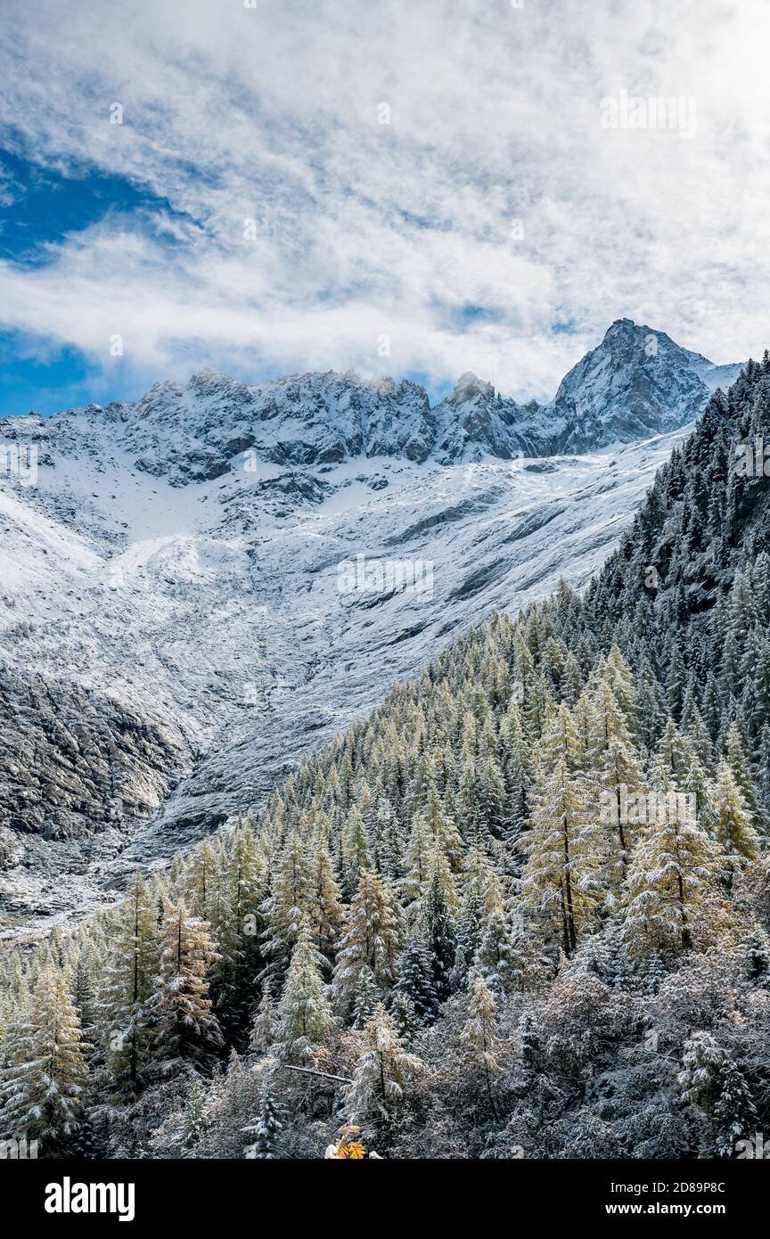winter landscape in first snow in Vallée du Trient, Valais Stock Photo ...