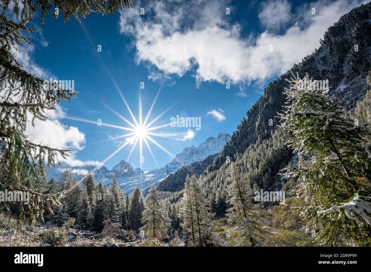perfect early winter day in Vallée du Trient, Valais Stock Photo - Alamy