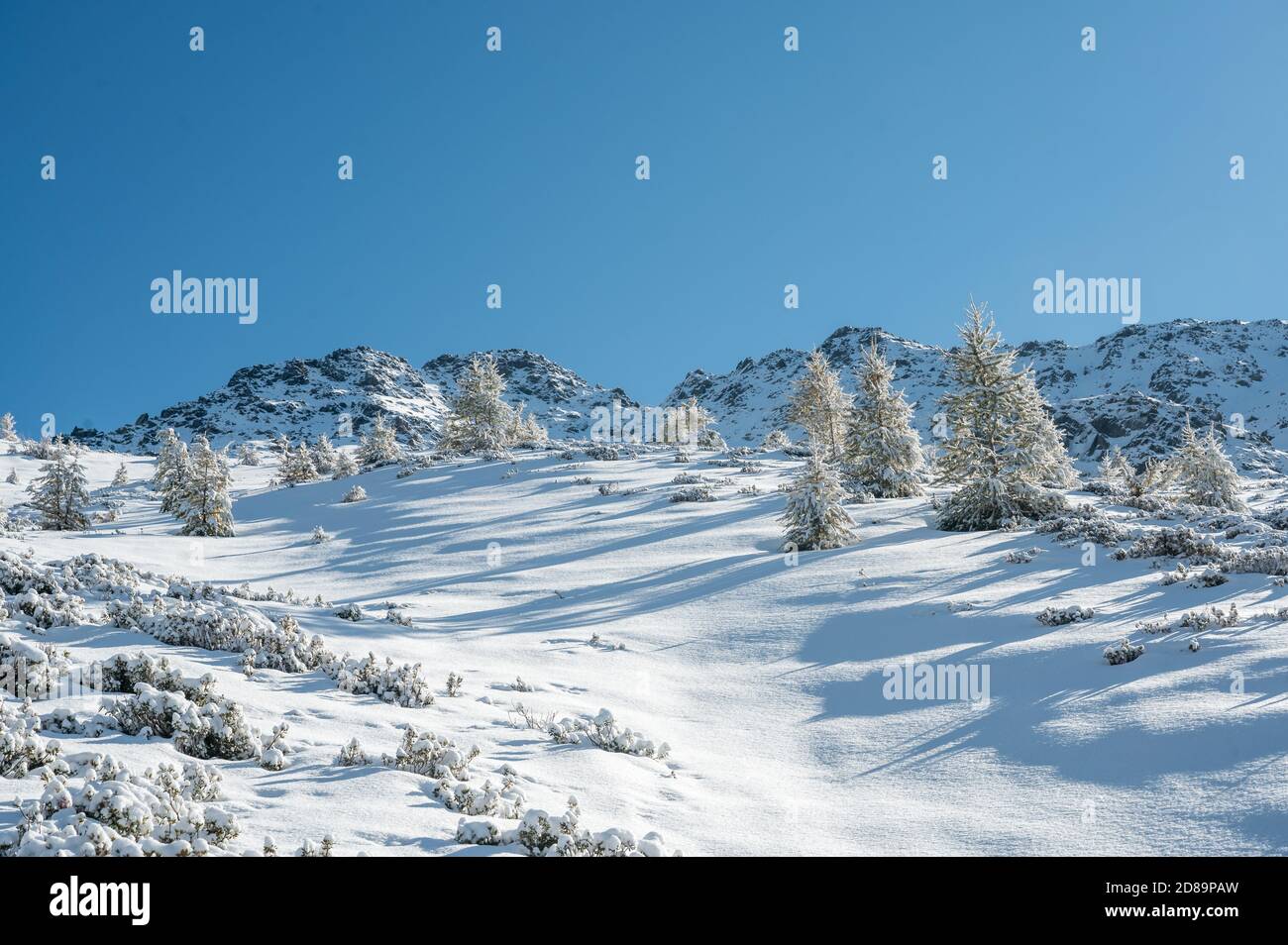 pristine winter scenery in Vallée du Trient, Valais Stock Photo - Alamy