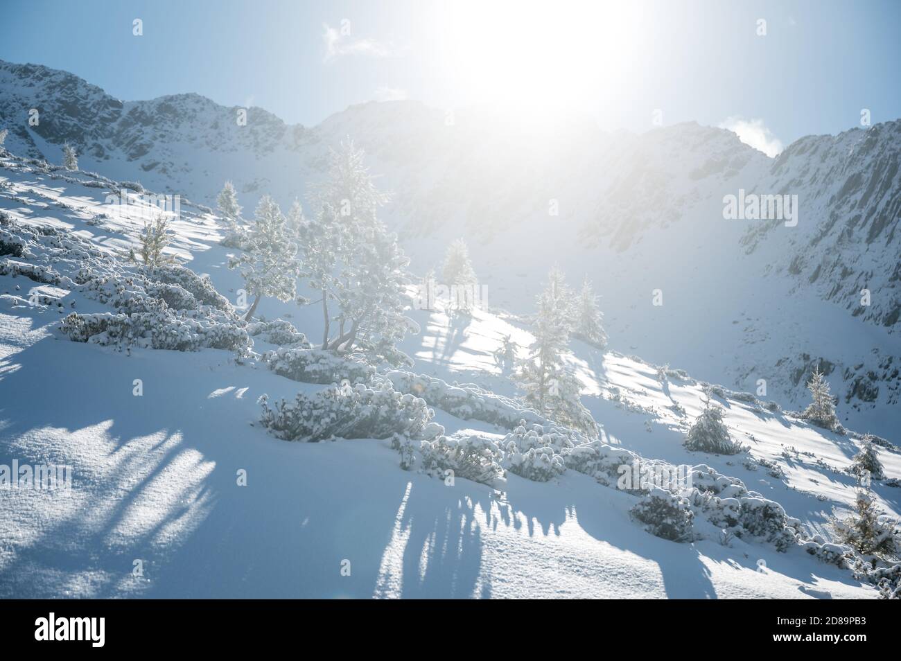 pristine winter scenery in Vallée du Trient, Valais Stock Photo - Alamy