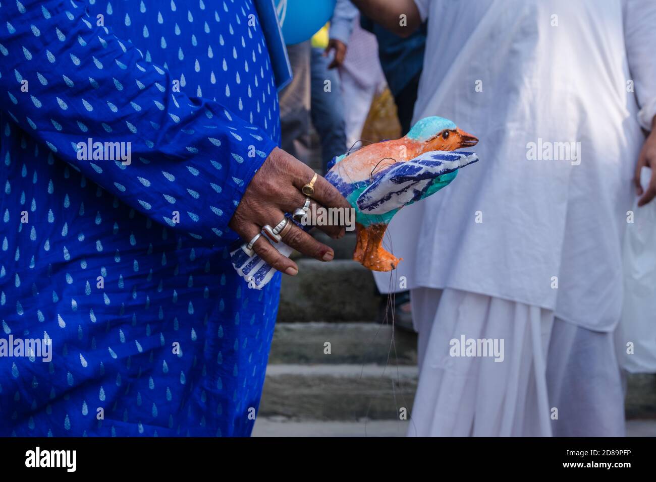 Neelkanth bird hi-res stock photography and images - Alamy