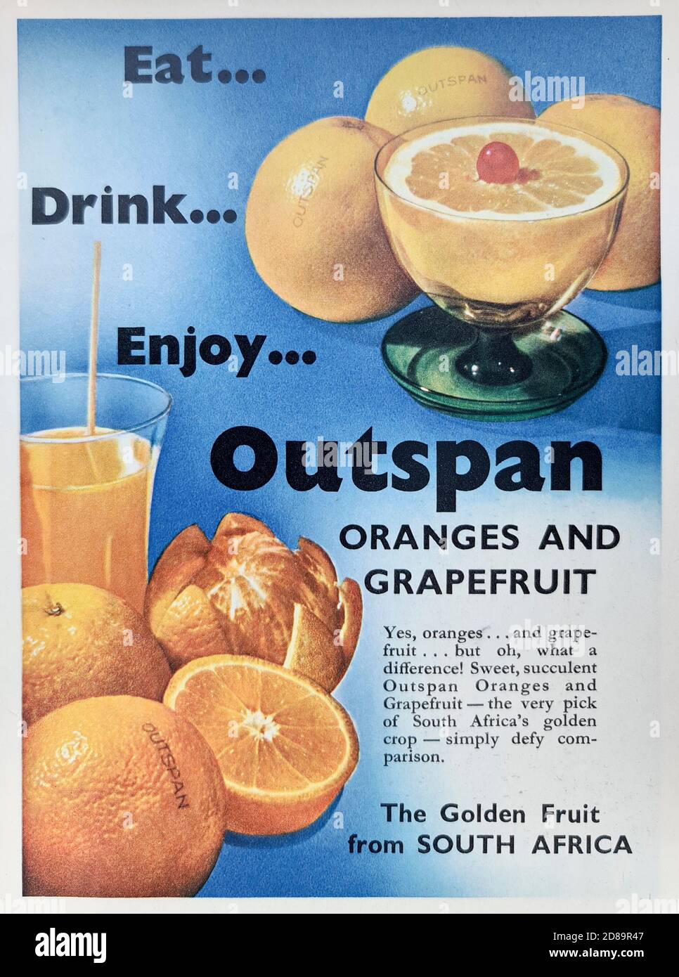 Vintage Advertisement 1951 - Outspan Oranges Stock Photo - Alamy