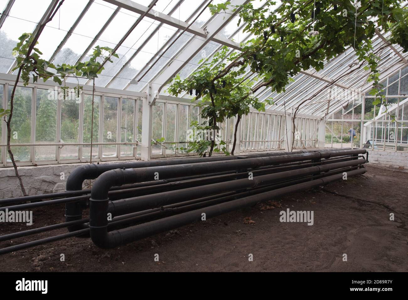 Victorian glass house hi-res stock photography and images - Alamy